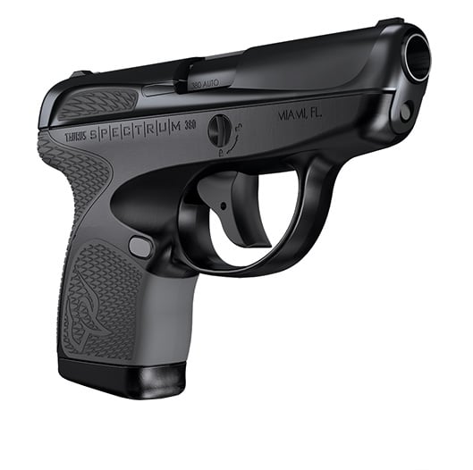 TAURUS Spectrum BLACK/GRAY | KYGUNCO