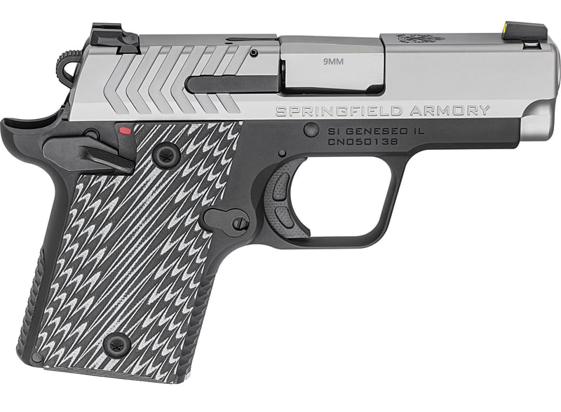 SPRINGFIELD ARMORY 911 9mm Stainless | KYGUNCO