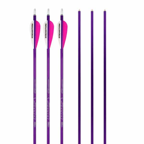 EASTON TECHNICAL GENESIS PURPLE SINGLE ARROW | KYGUNCO